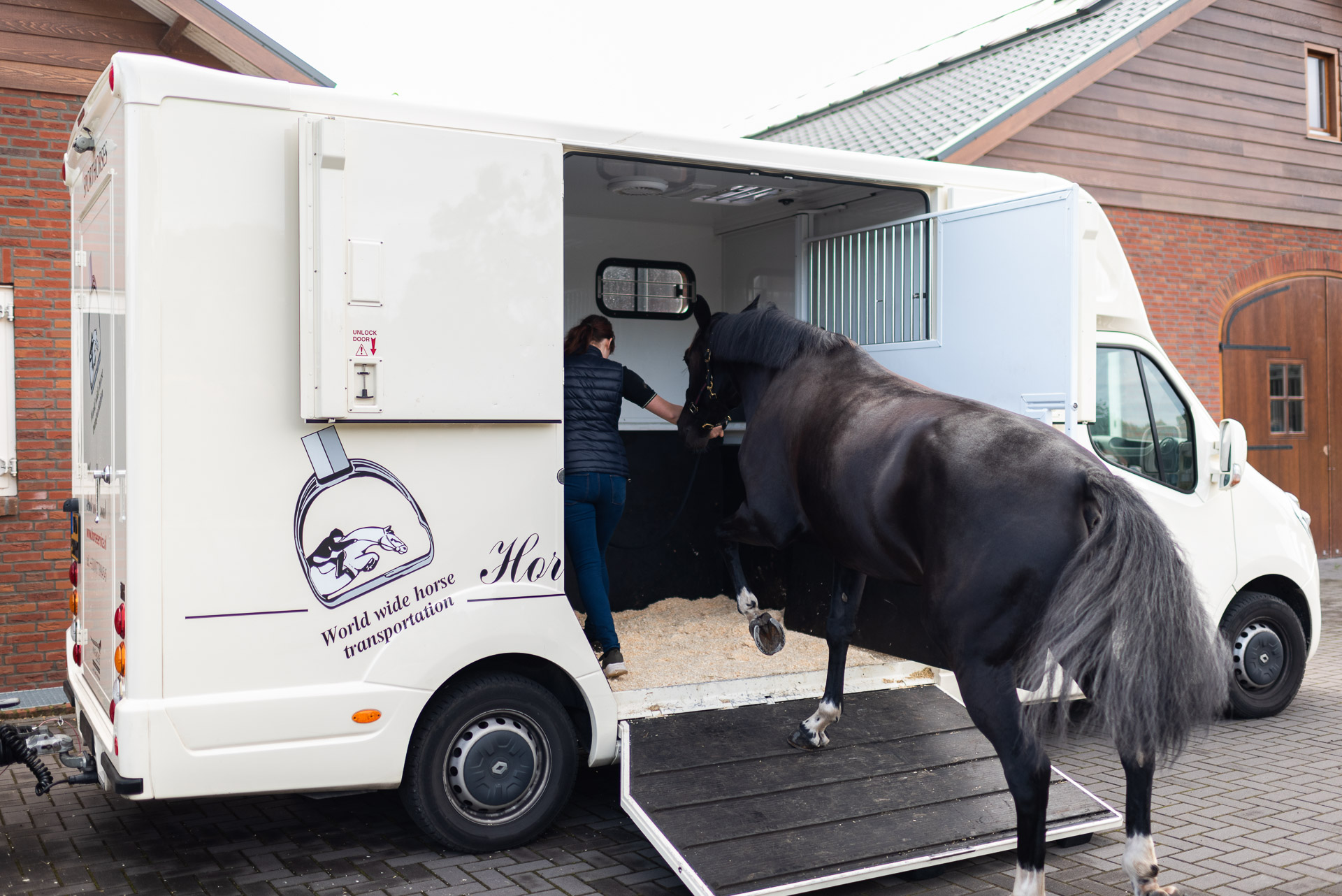 Export - Horse Service International